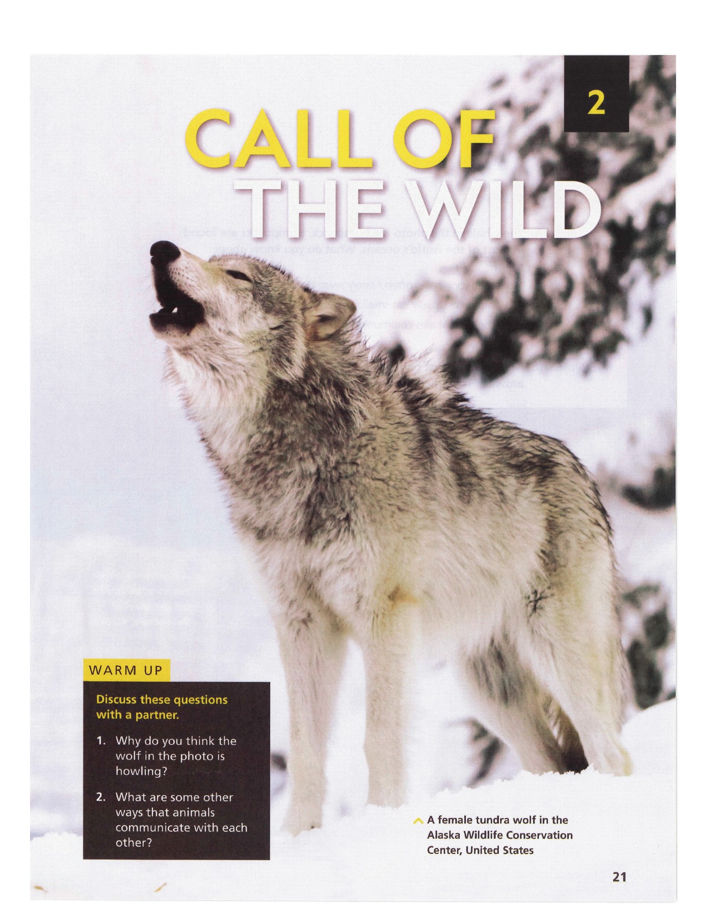 2. Nat Geo Unit 2 Call of the Wild - catherinescrossculturalcafe - Page ...