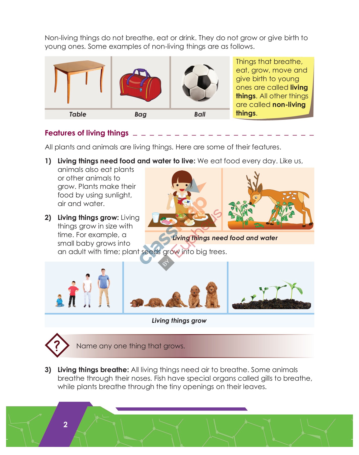 Living Things Need Air