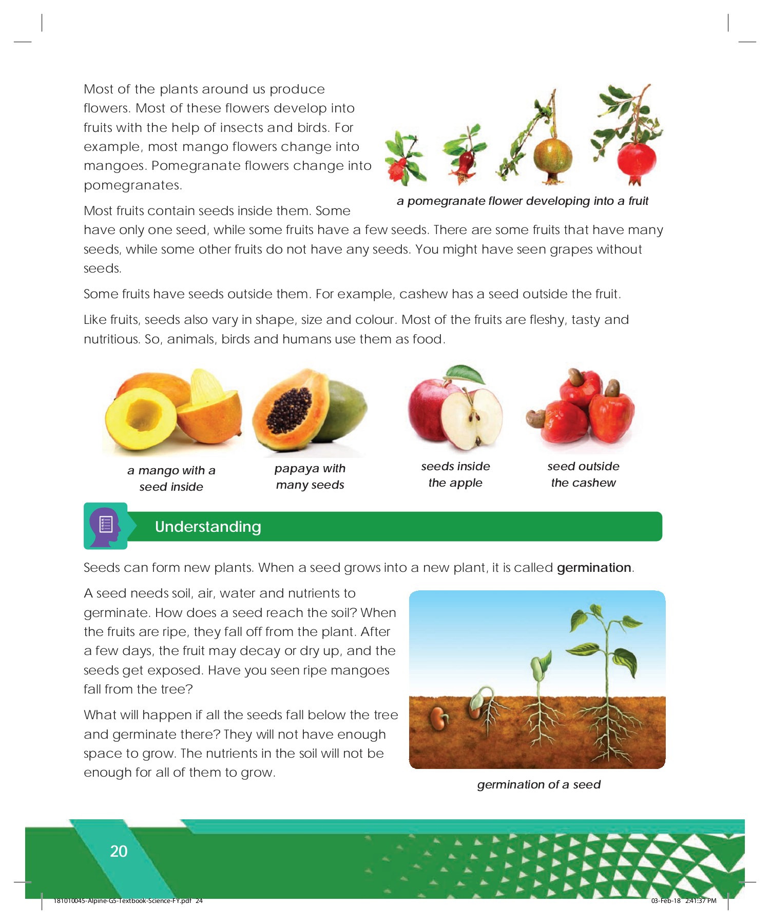 Infographic Pdf Seed