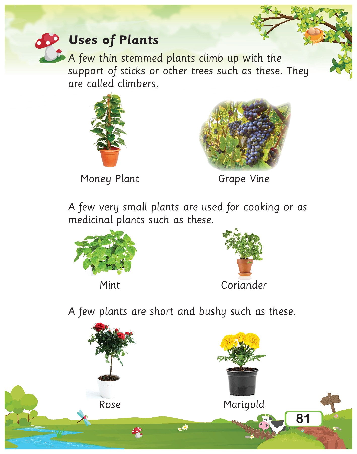 202110009-OYSTER-STUDENT-BOOK-EVS-UKG-FY - CLASSKLAP - Page 81 | Flip ...