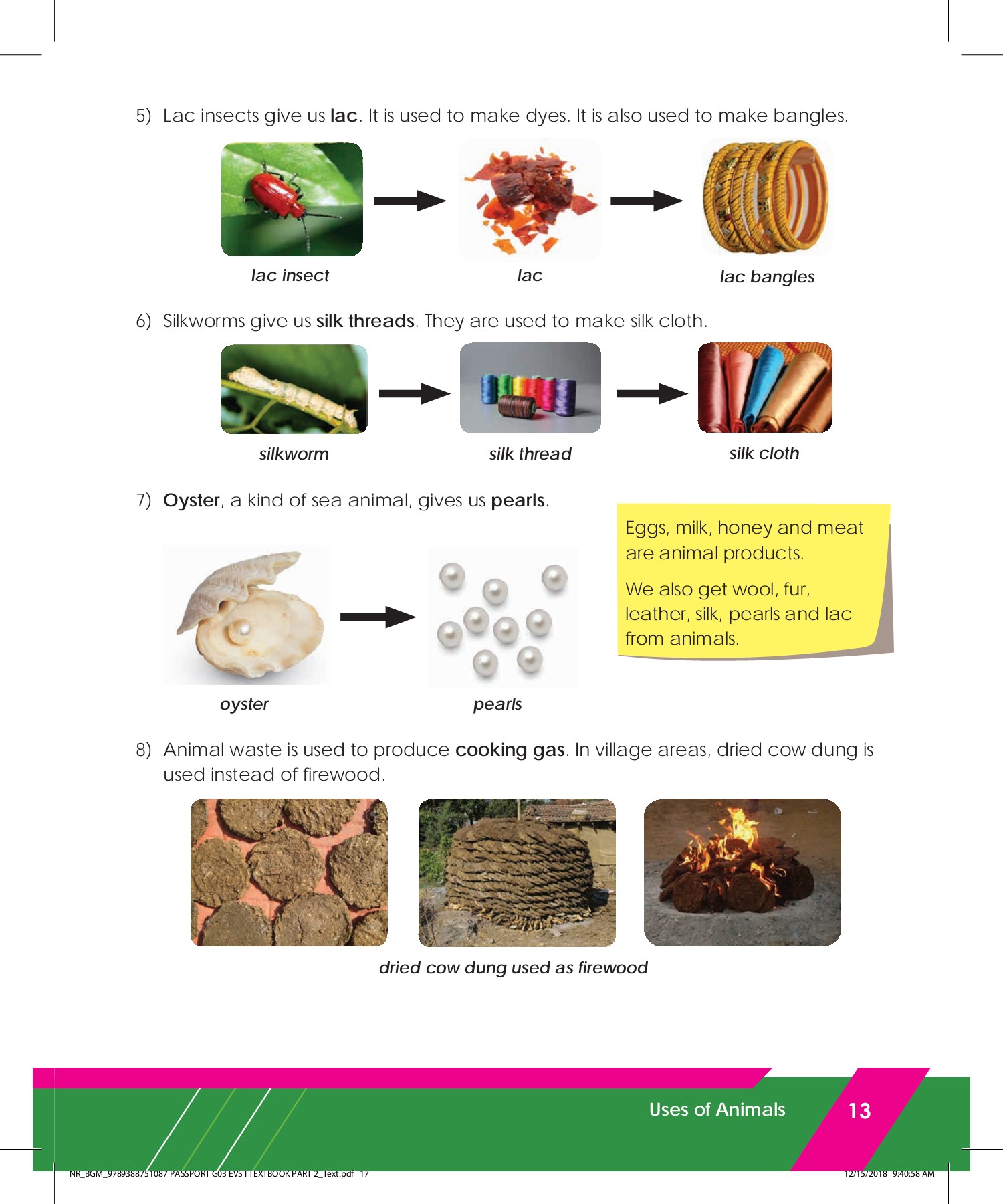 Life Cycle Of Lac Insect