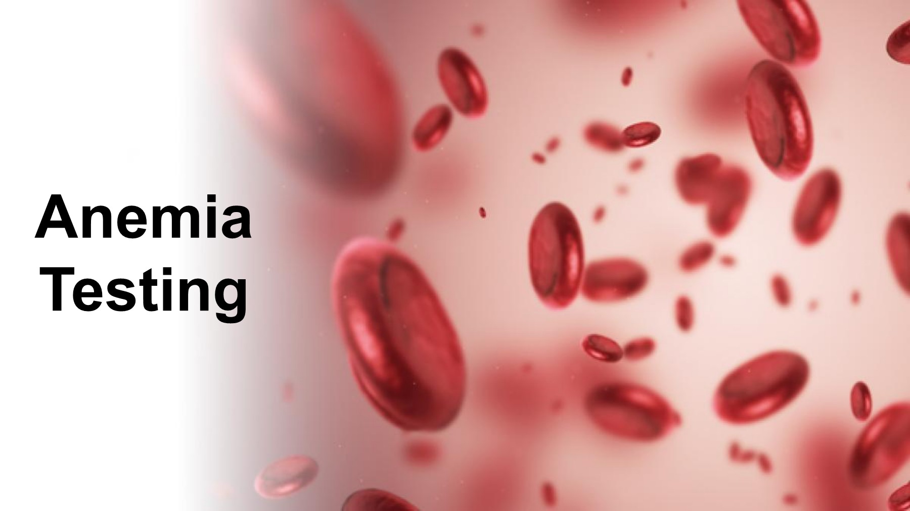 Anemia Testing - hasnazameer579 - Page 1 - 12 | Flip PDF Online | PubHTML5