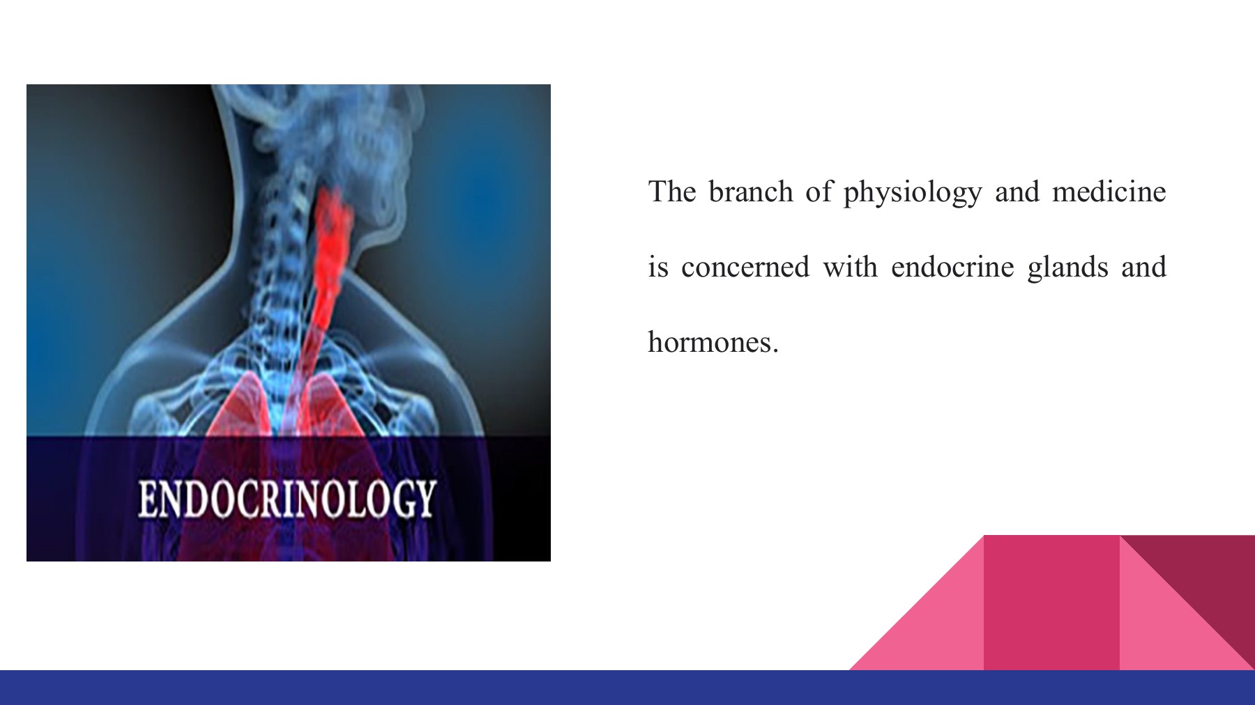 Endocrinology-Tests and Procedures - hasnazameer579 - Page 2 | Flip PDF ...