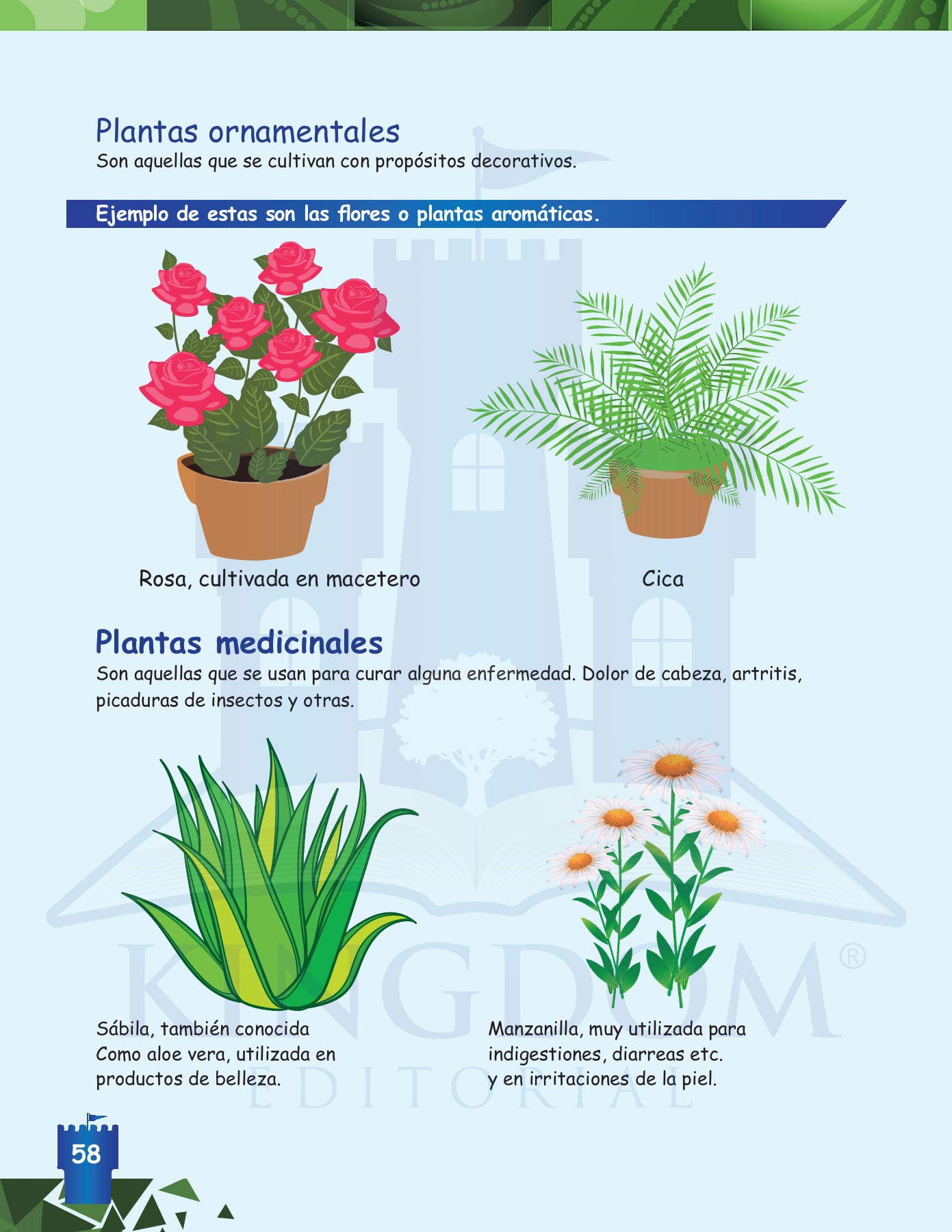 CIENCIAS NATURALES 1er Grado .1 - Kingdom Editorial - Página 60 | Flip ...