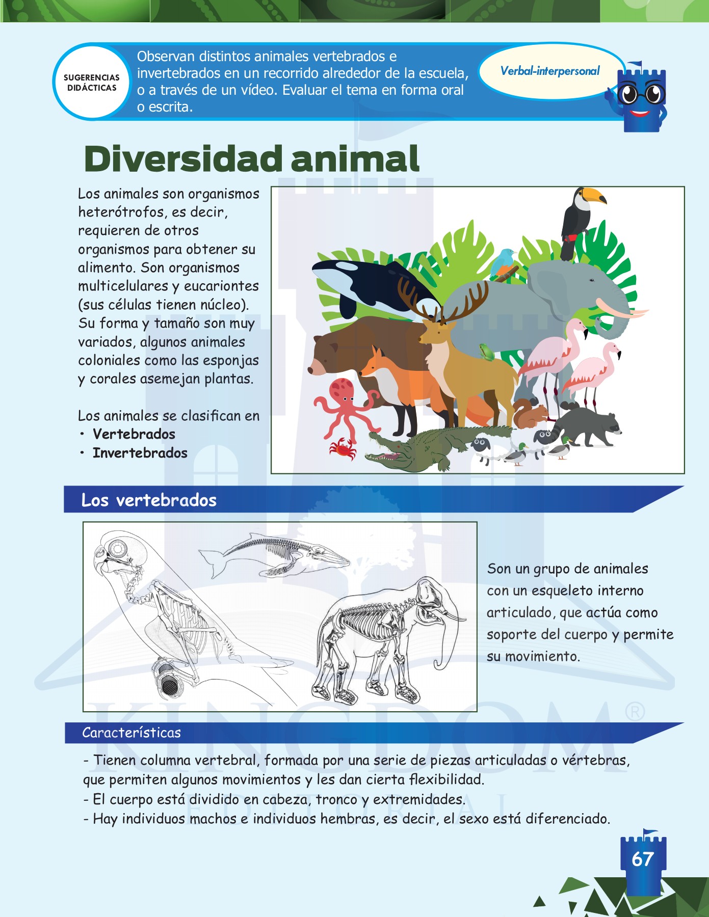 CIENCIAS NATURALES 3er Grado .1 - Kingdom Editorial - Página 69 | Flip ...