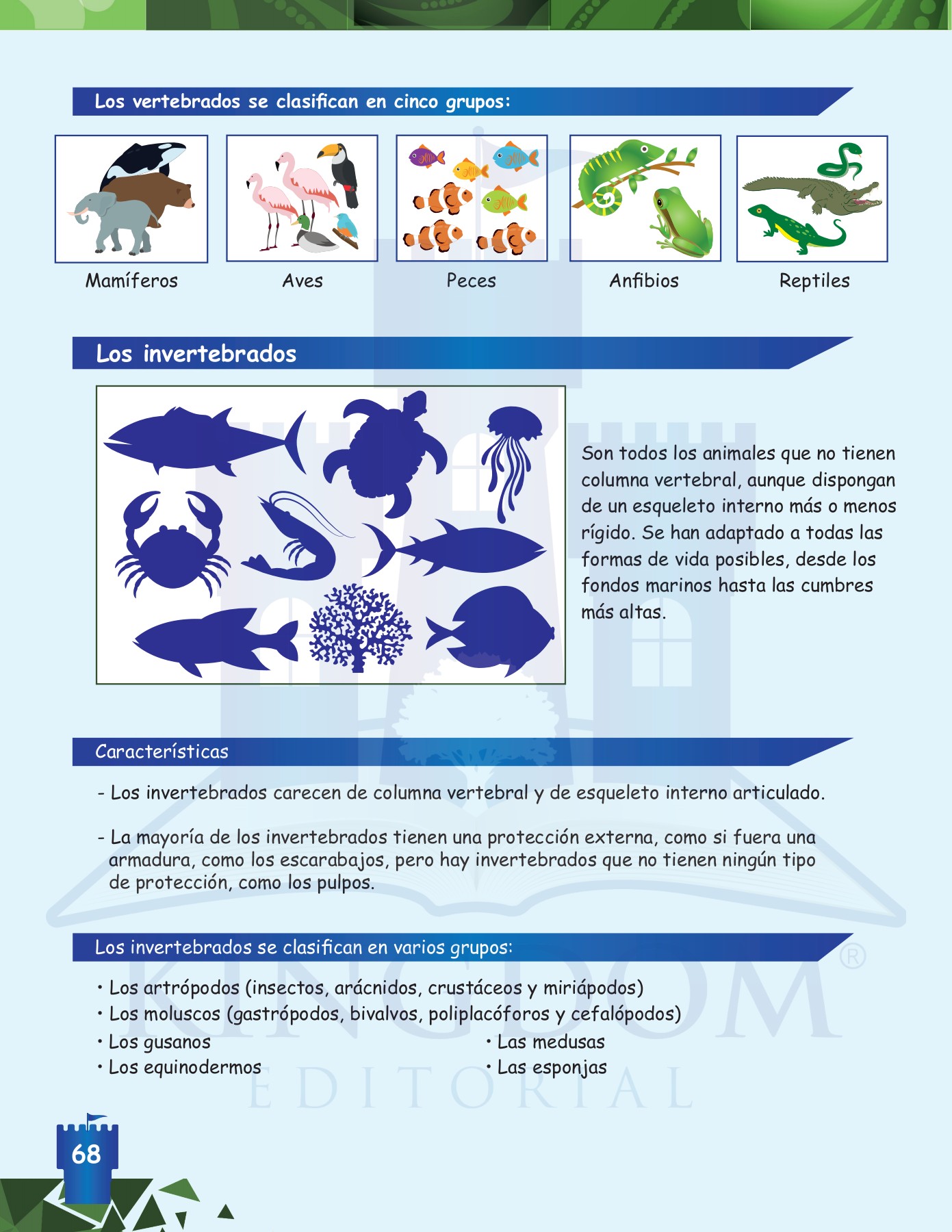 CIENCIAS NATURALES 3er Grado .1 - Kingdom Editorial - Página 70 | Flip ...