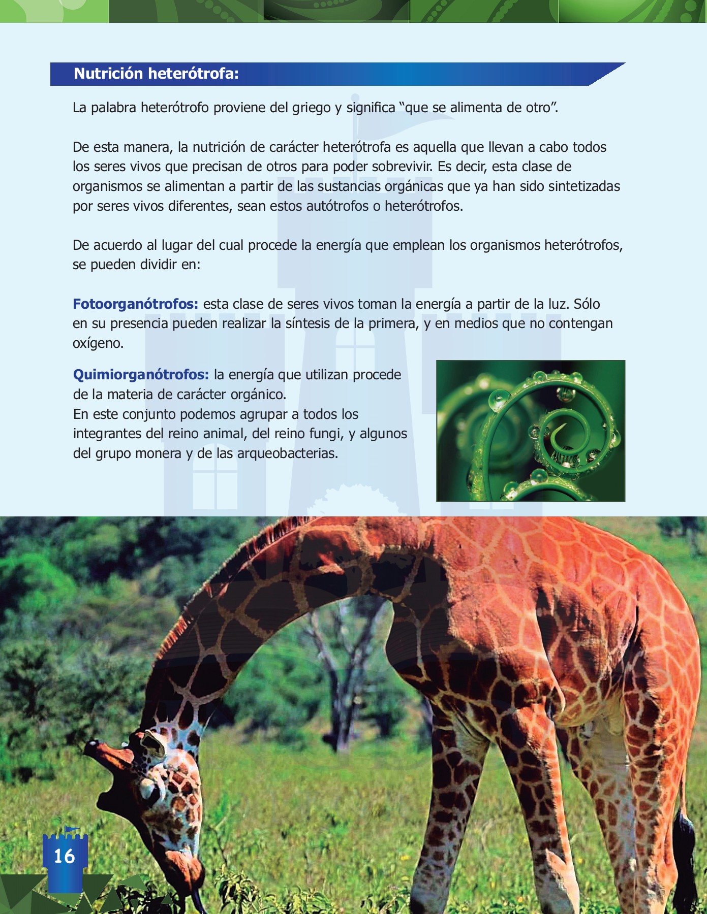 CIENCIAS NATURALES 8vo Grado .1 - Kingdom Editorial - Página 18 | Flip ...