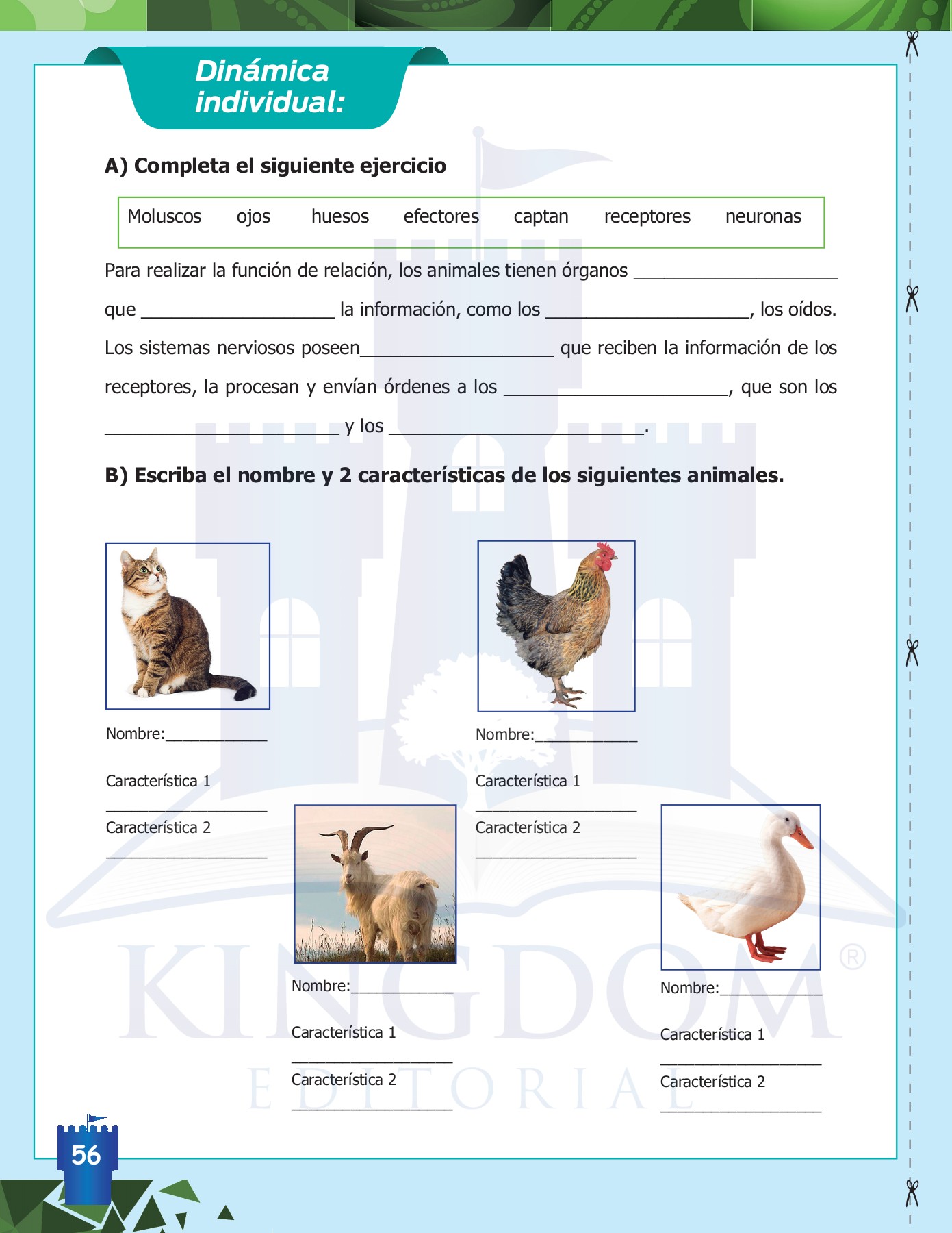 CIENCIAS NATURALES 8vo Grado .1 - Kingdom Editorial - Página 58 | Flip ...