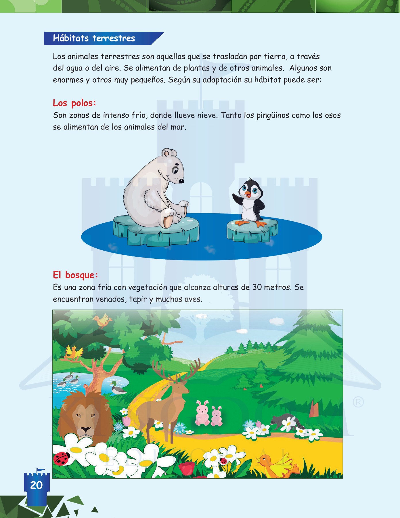 CIENCIAS NATURALES 2do Grado .1 - Kingdom Editorial - Página 22 | Flip ...