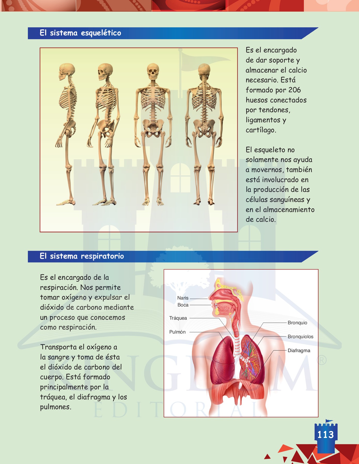 CIENCIAS NATURALES 4to Grado .1 - Kingdom Editorial - Página 115 | Flip ...