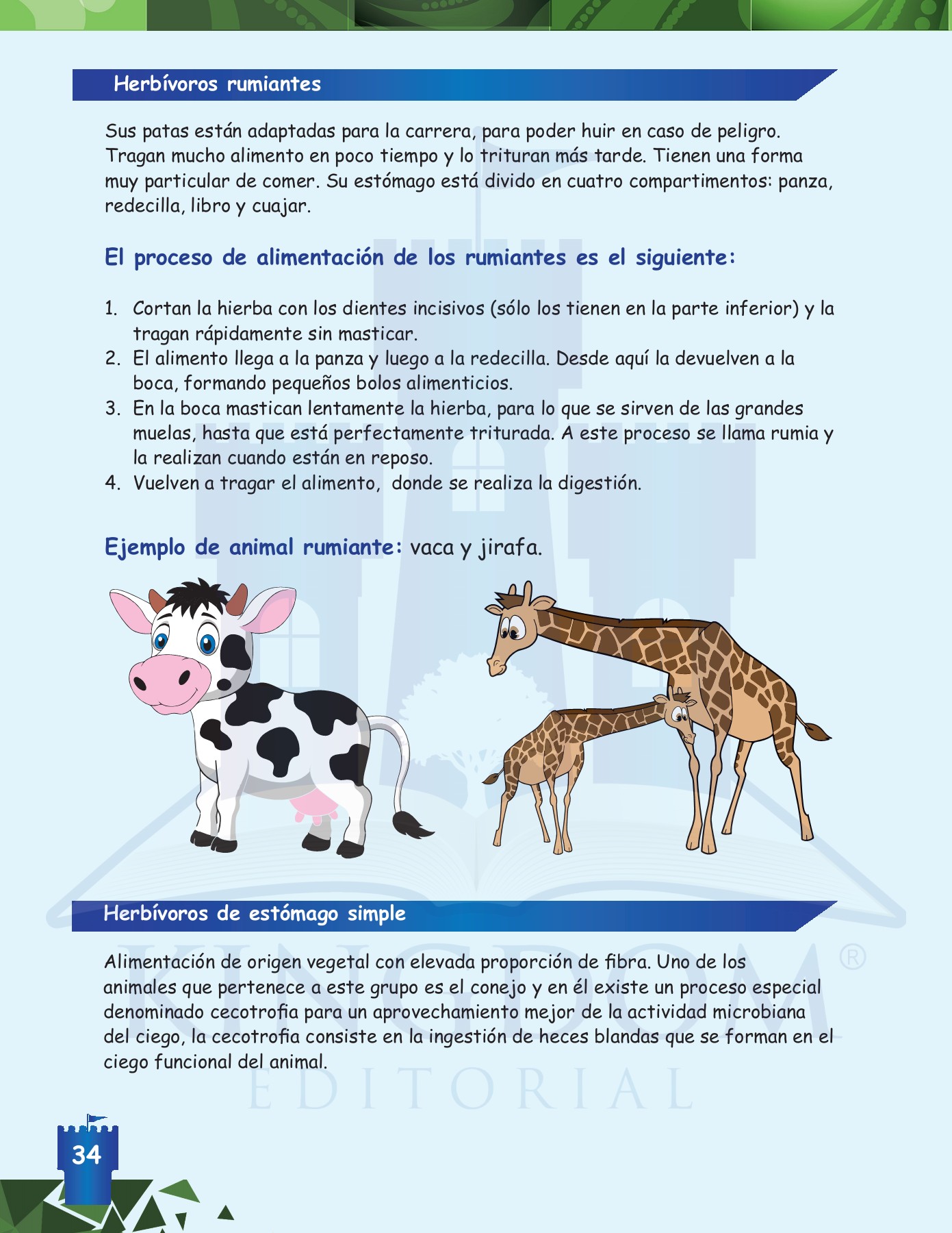 CIENCIAS NATURALES 4to Grado .1 - Kingdom Editorial - Página 36 | Flip ...