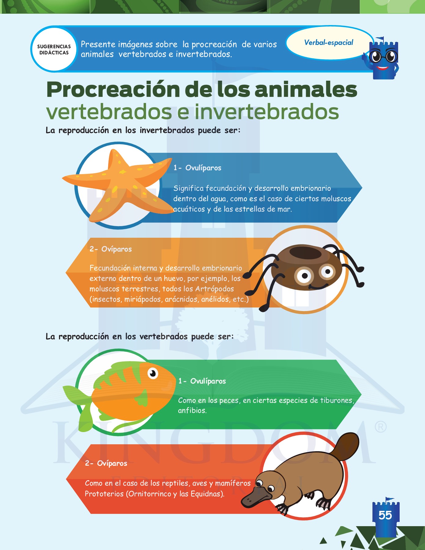 CIENCIAS NATURALES 4to Grado .1 - Kingdom Editorial - Página 57 | Flip PDF en línea | PubHTML5