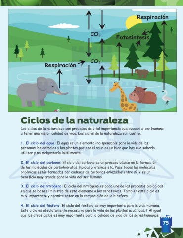 CIENCIAS NATURALES 4to Grado .1 - Kingdom Editorial - Página 77 | Flip ...