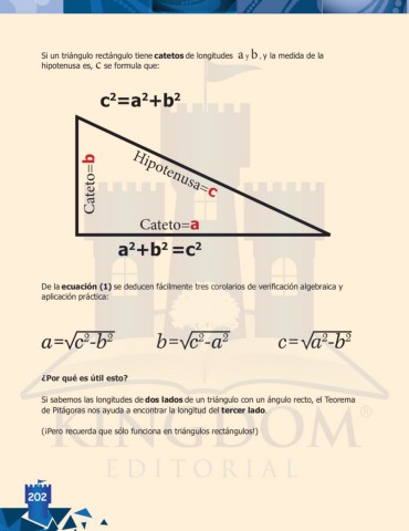 MATEMÁTICAS 8vo Grado .1 - Kingdom Editorial - Página 204 | Flip PDF en ...