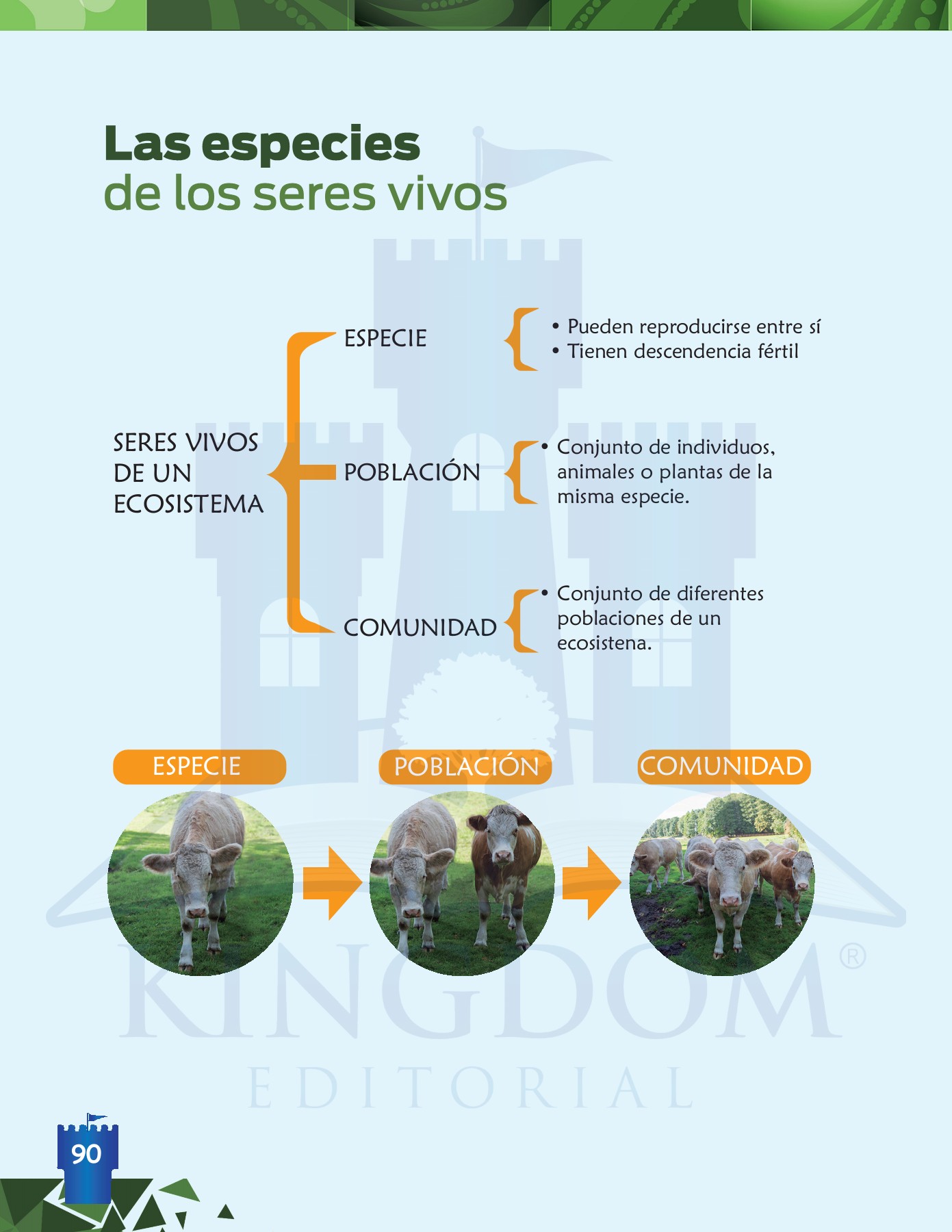 CIENCIAS NATURALES 6to Grado .1 - Kingdom Editorial - Página 92 | Flip ...
