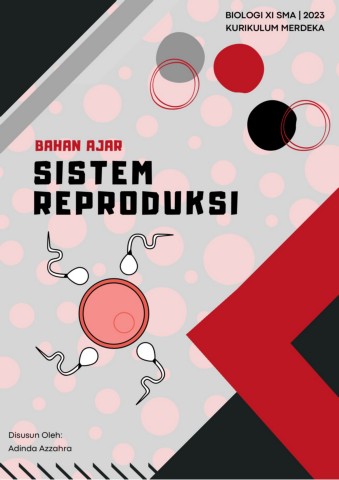Bahan Ajar Sistem Reproduksi pada Manusia - adindaazh - Page 1 - 14 | Flip PDF Online | PubHTML5