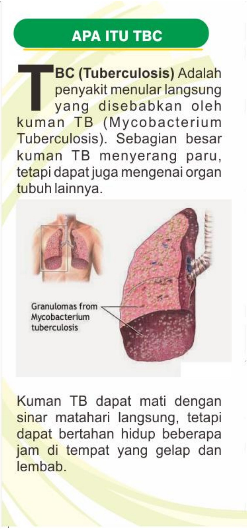 LEAFLET TB pada Paru - Aldhy Doank - Halaman 2 | PDF Online | PubHTML5