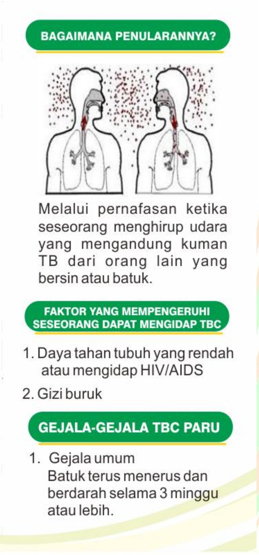 LEAFLET TB pada Paru - Aldhy Doank - Halaman 3 | PDF Online | PubHTML5