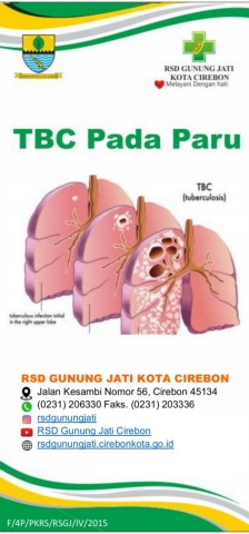 LEAFLET TB pada Paru - Aldhy Doank - Halaman 1 | PDF Online | PubHTML5