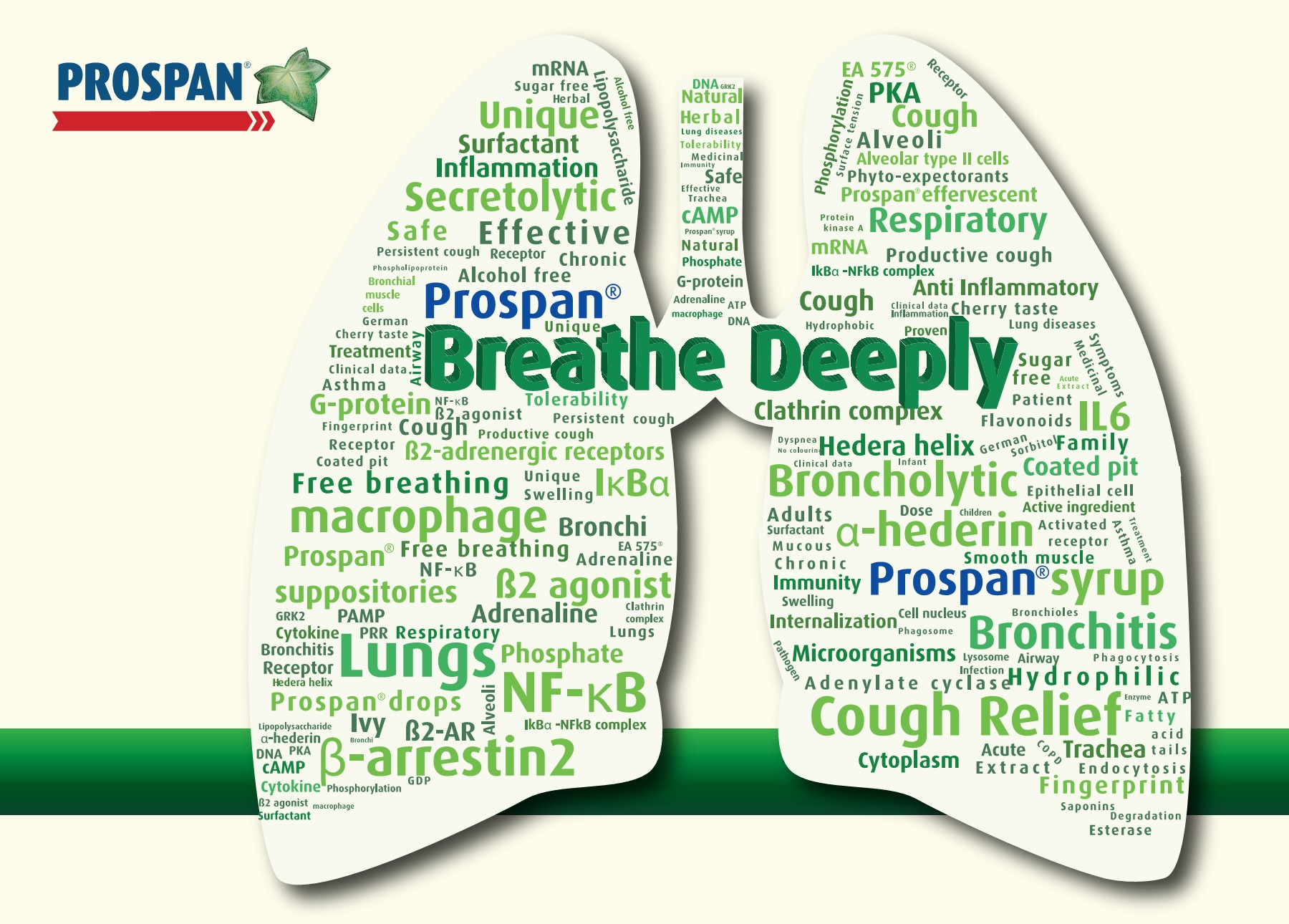 Prospan New MOA Brochure - smart choice - Page 1 - 4 | Flip PDF Online ...