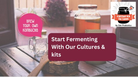 Best Organic Kefir Grains - Cultures To Love