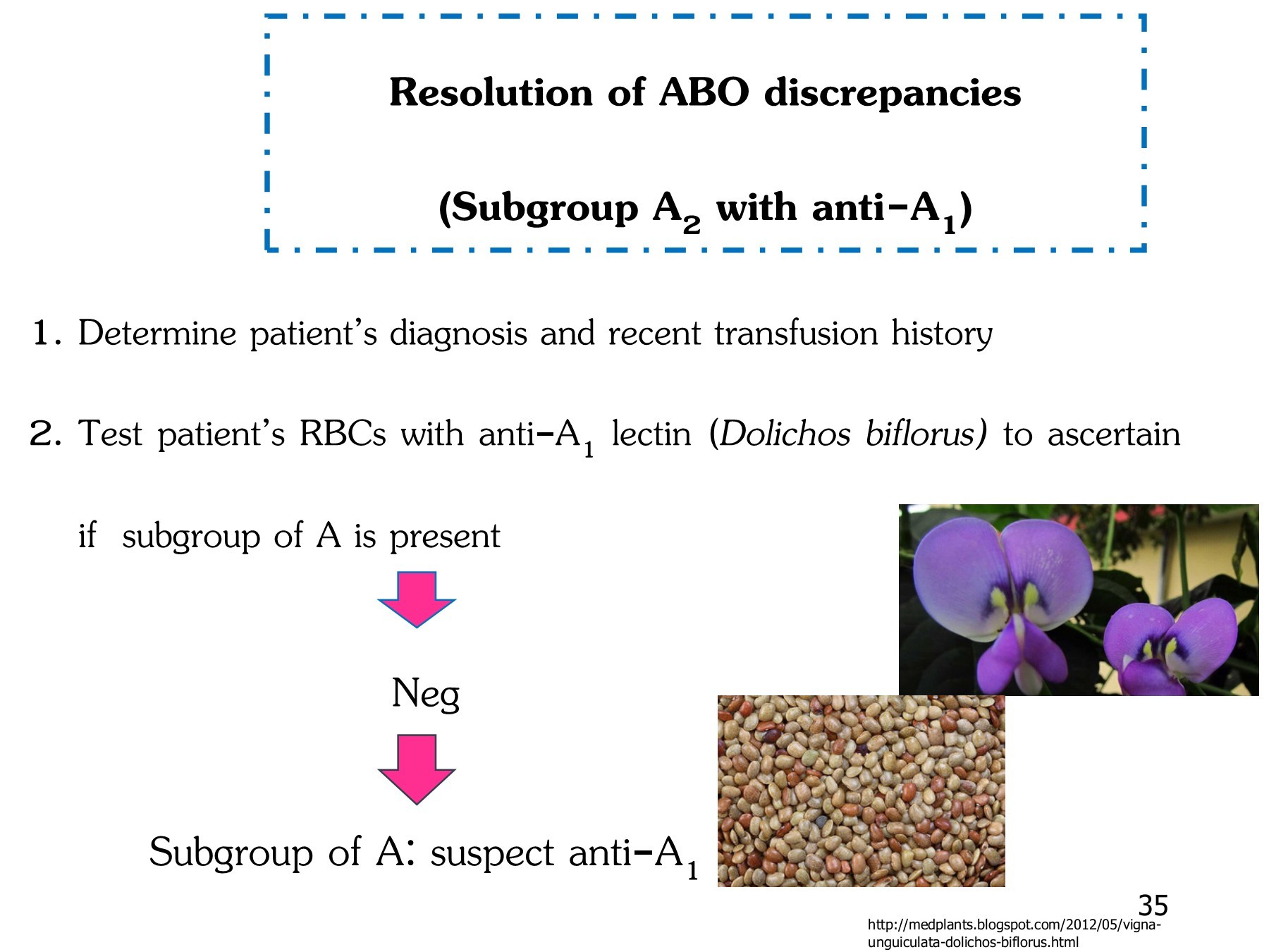 ABO-discrepancies-workshop-62-handout - AMS CMU - Page 35 | Flip PDF ...