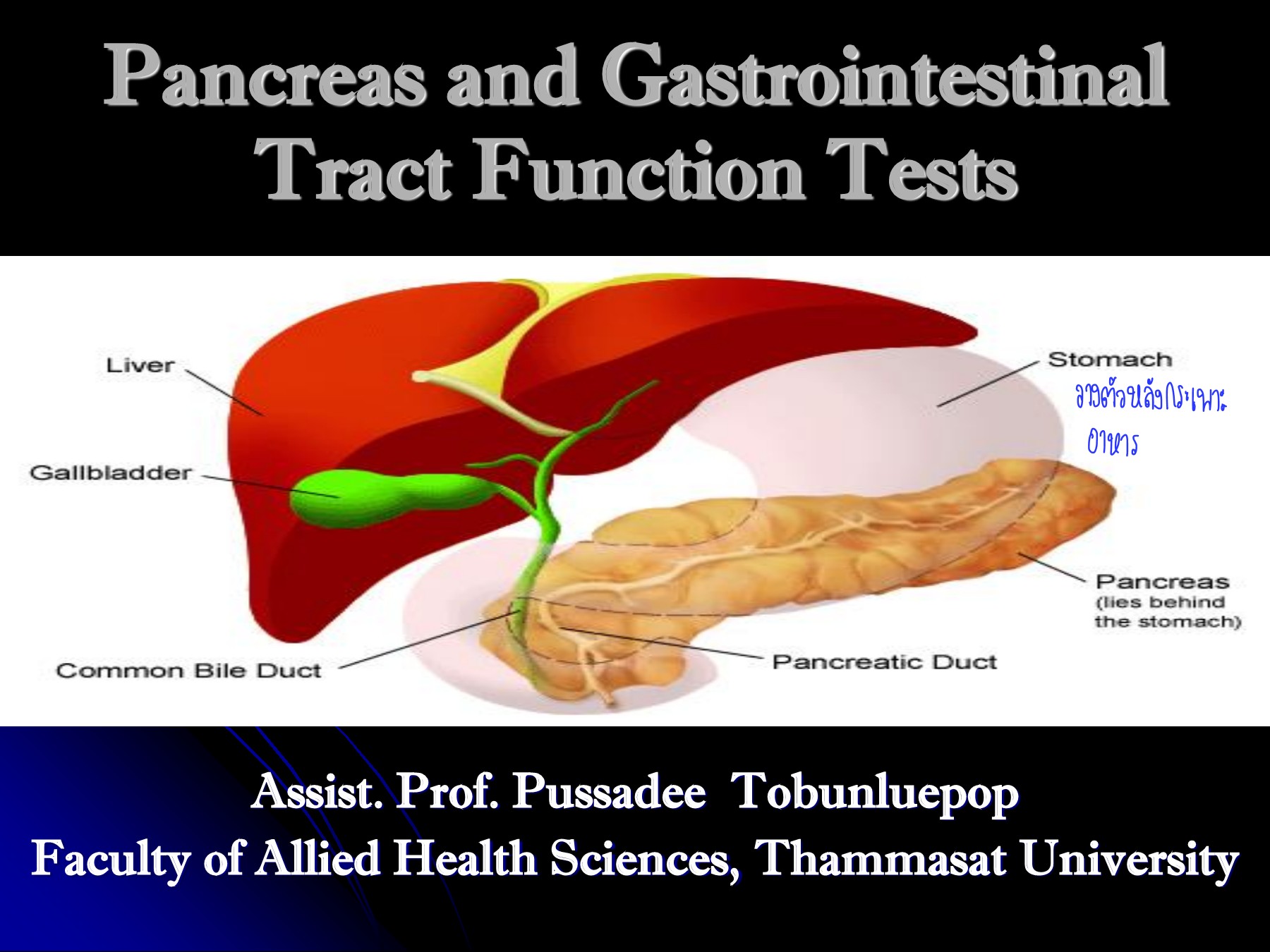 LM Pancreas, GI - 4191 ชานนทร์ ดวงดีเเก้ว - Page 1 - 52 | Flip PDF ...