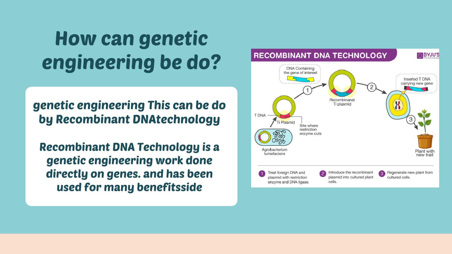 genetic engineering - theerawutbas13 - Page 3 | Flip PDF Online | PubHTML5