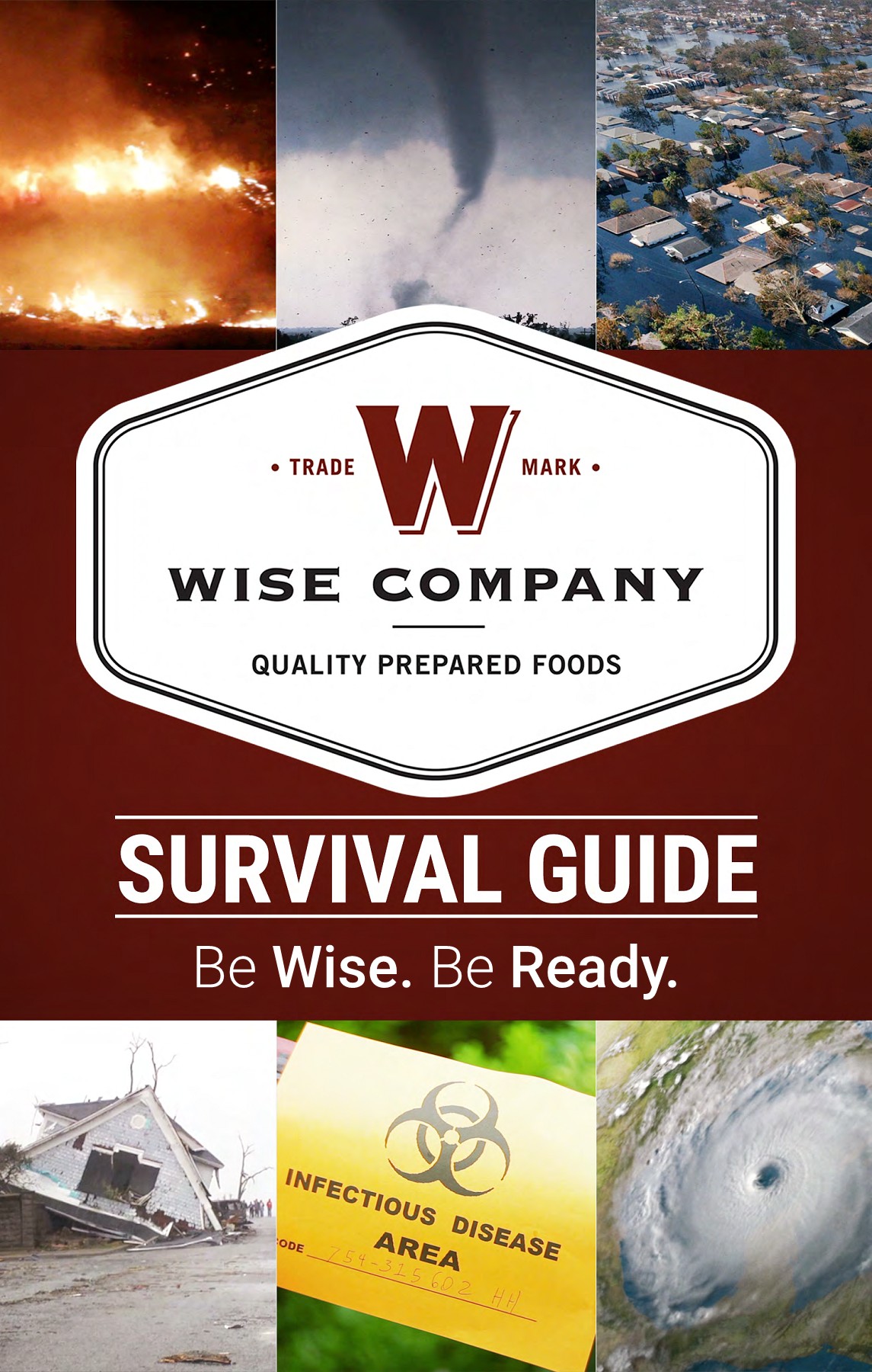 Wise Survival Guide - mmalmrose - Page 1 - 24 | Flip PDF Online | PubHTML5