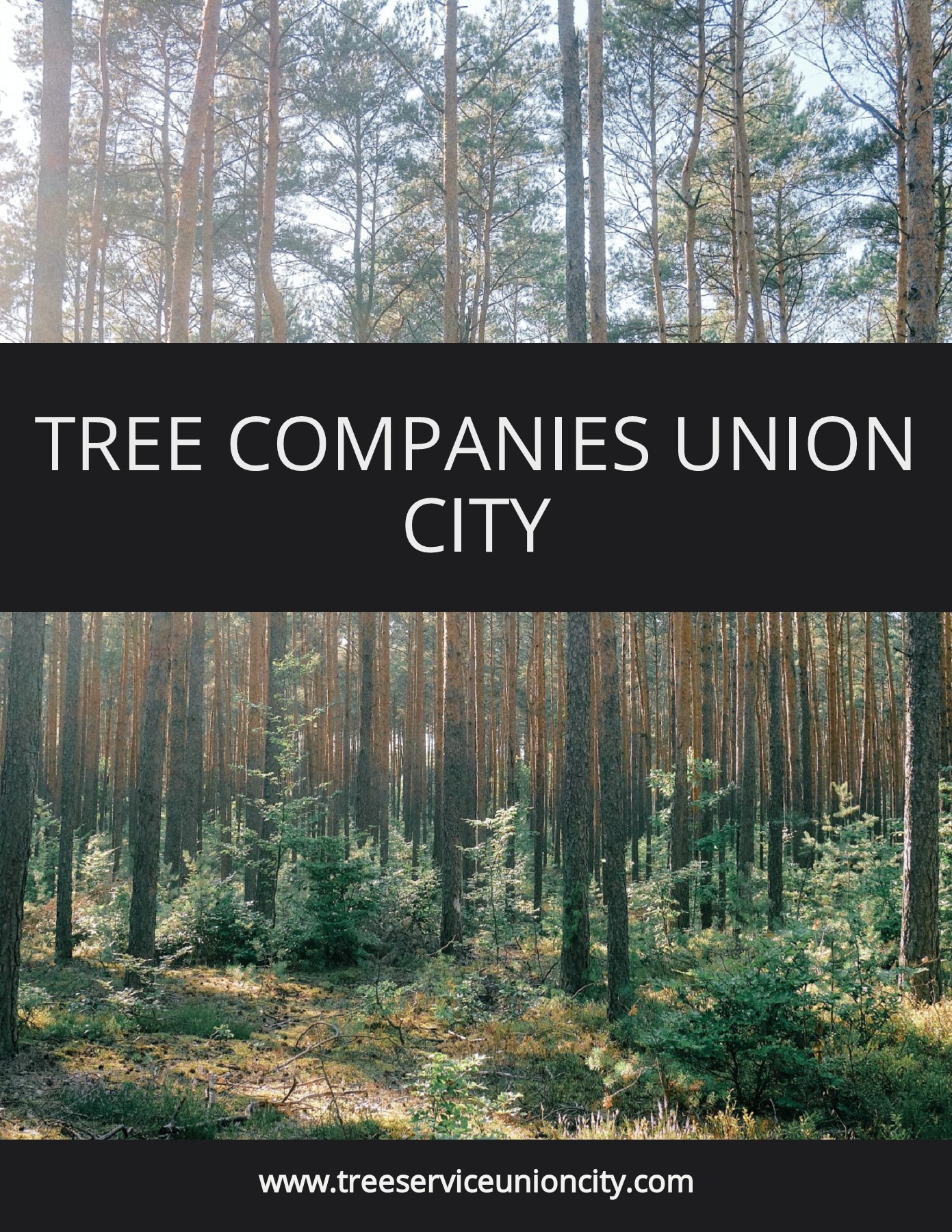 Tree Companies Union City - Sams Tree Service Union City - Page 1 - 10 ...