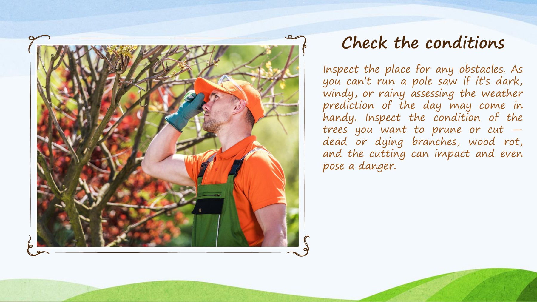 Tree Pruning Safety Tips - Maureen Nunez - Page 5 | Flip PDF Online | PubHTML5