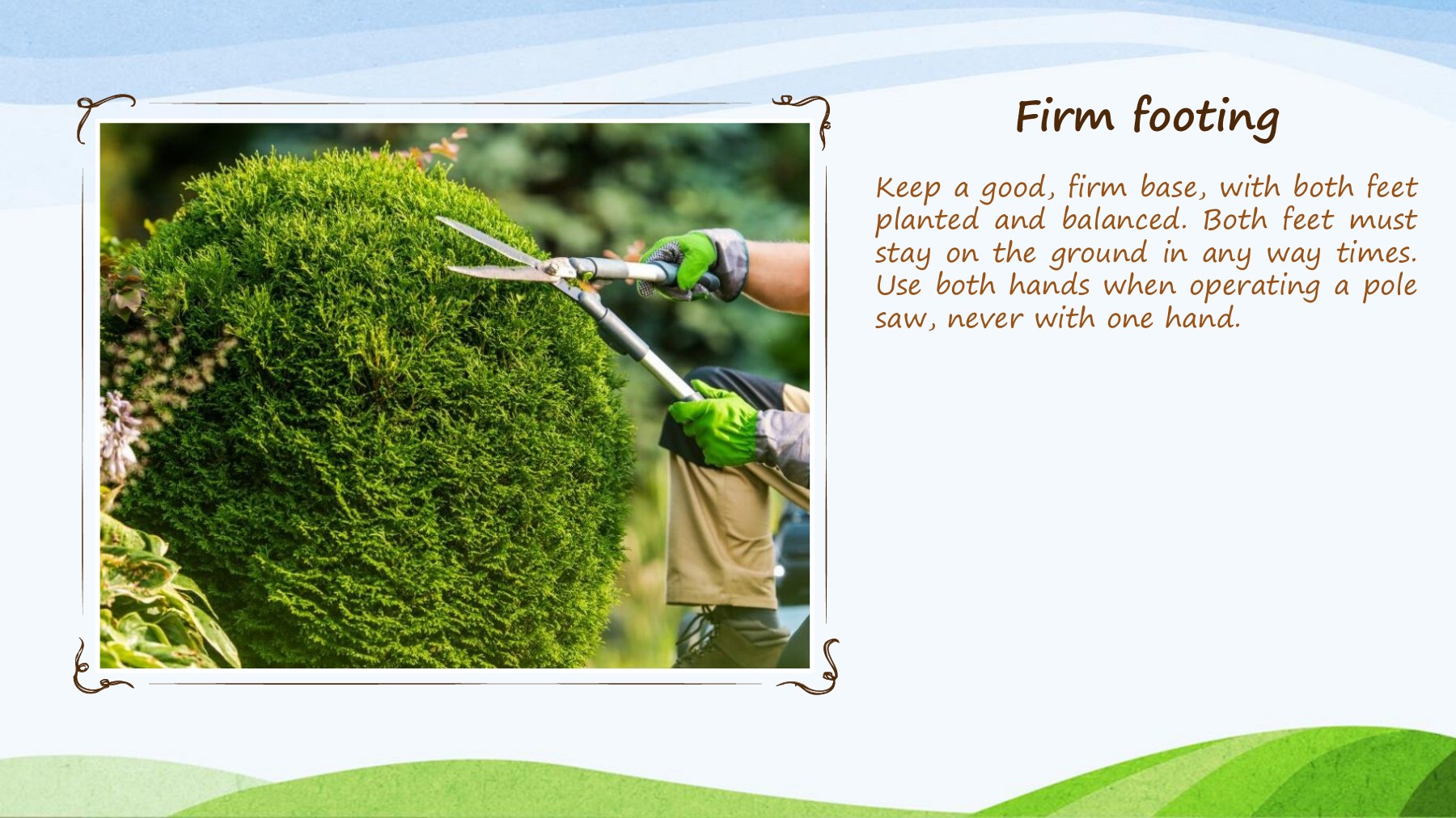 Tree Pruning Safety Tips - Maureen Nunez - Page 8 | Flip PDF Online ...