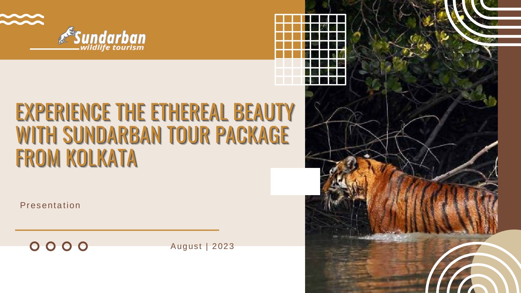 Experience The Ethereal Beauty With Sundarban Tour Package From Kolkata - Sundarban Wildlife ...