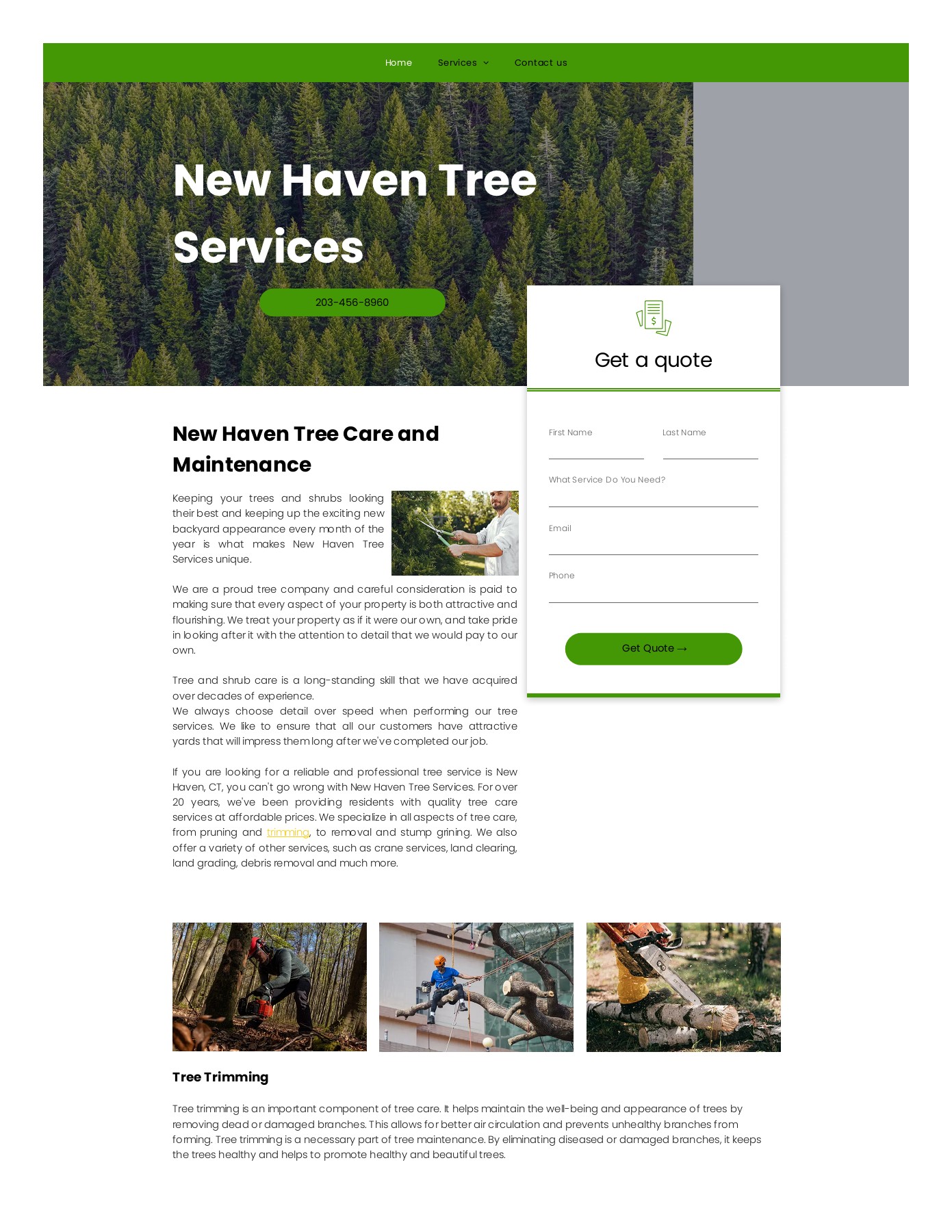 New Haven Tree Services - Tree Services - Page 1 - 3 | Flip PDF Online ...