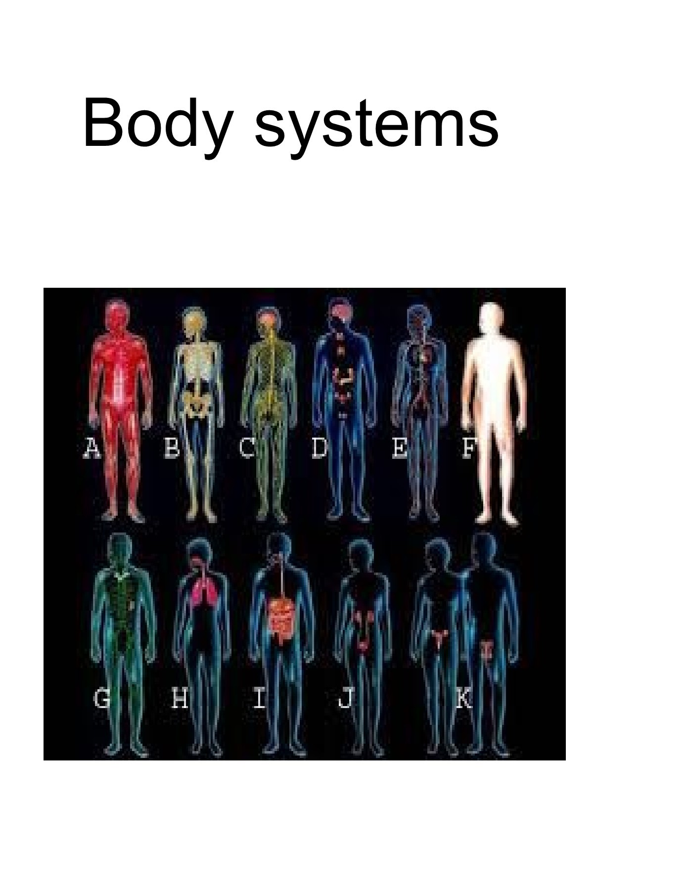 Body systems - Anesu.mupanda.097 - Page 1 - 33 | Flip PDF Online | PubHTML5