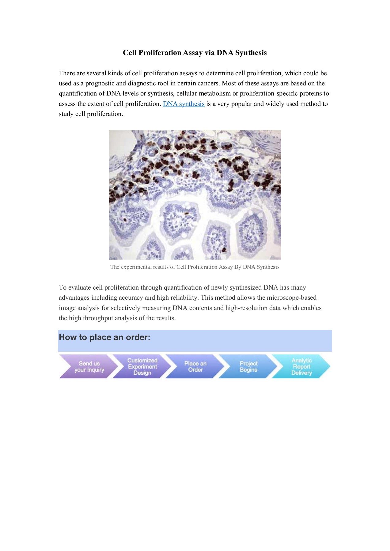 Cell Proliferation Assay via DNA Synthesis - mike.cellassay - Page 1 ...