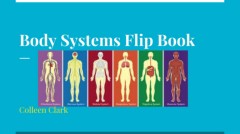 Body Systems Flipbook - colleen.clark.095 - Page 1 | Flip PDF Online ...