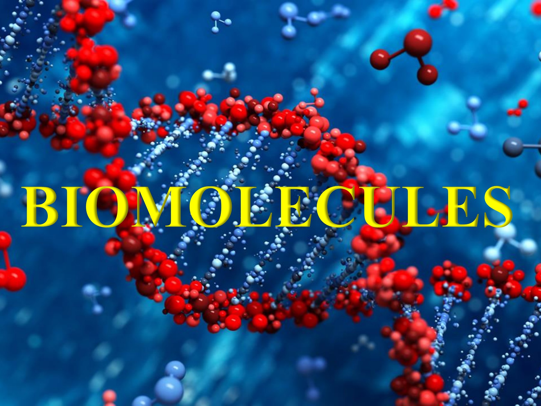 14-Biomolecules - ritapuri.aps - Page 1 - 48 | Flip PDF Online | PubHTML5