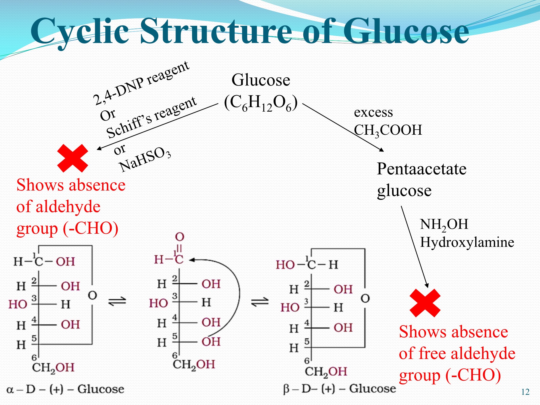 14-Biomolecules - ritapuri.aps - Page 12 | Flip PDF Online | PubHTML5