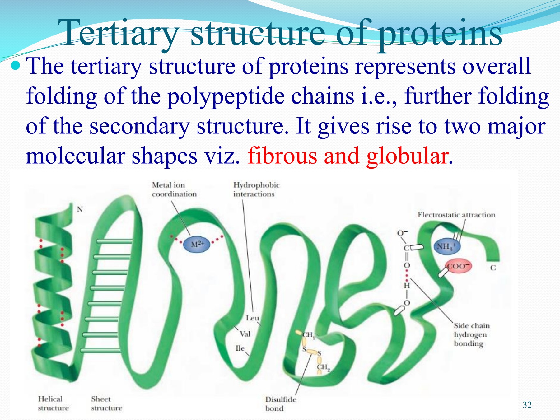 14-Biomolecules - ritapuri.aps - Page 32 | Flip PDF Online | PubHTML5