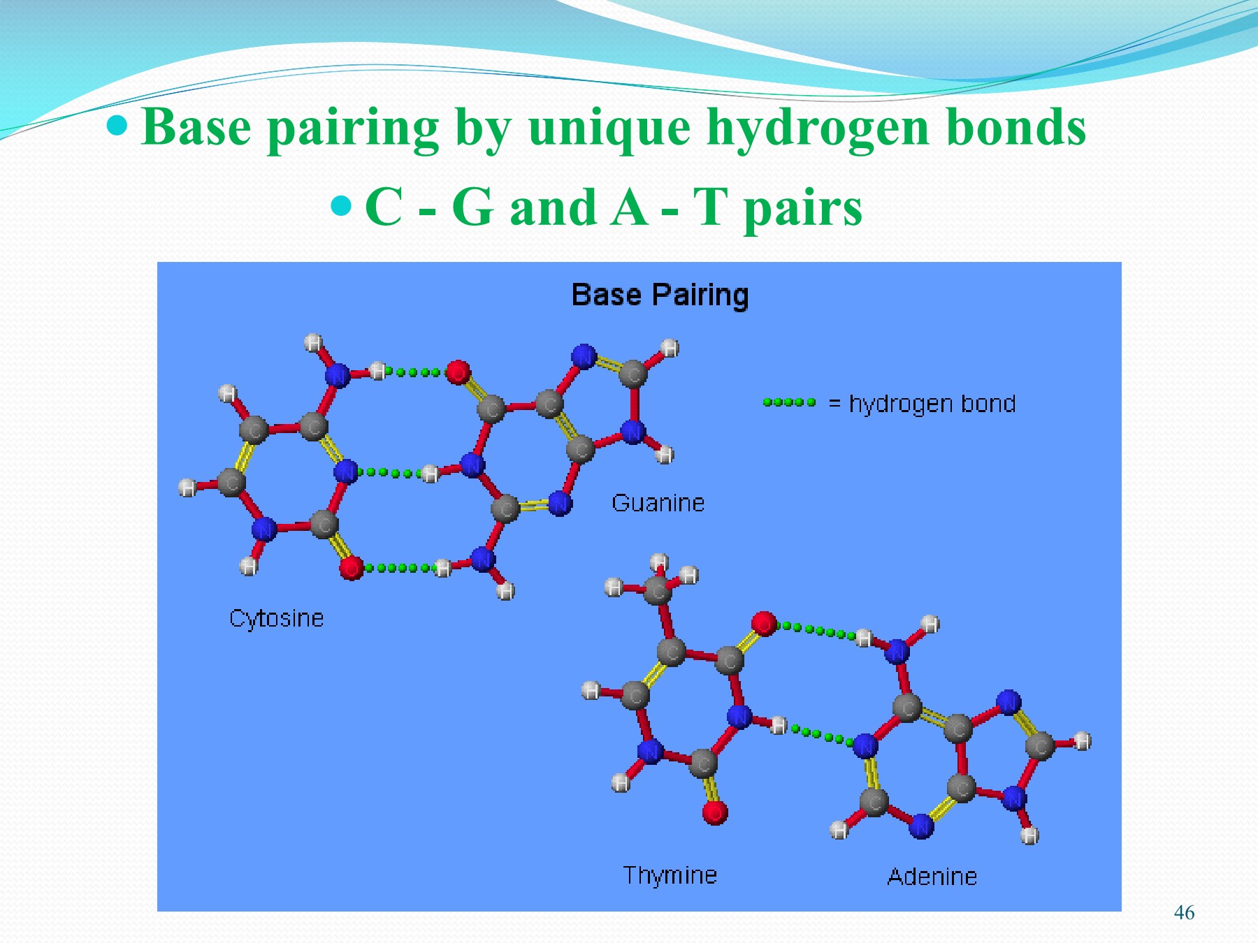 14-Biomolecules - ritapuri.aps - Page 46 | Flip PDF Online | PubHTML5