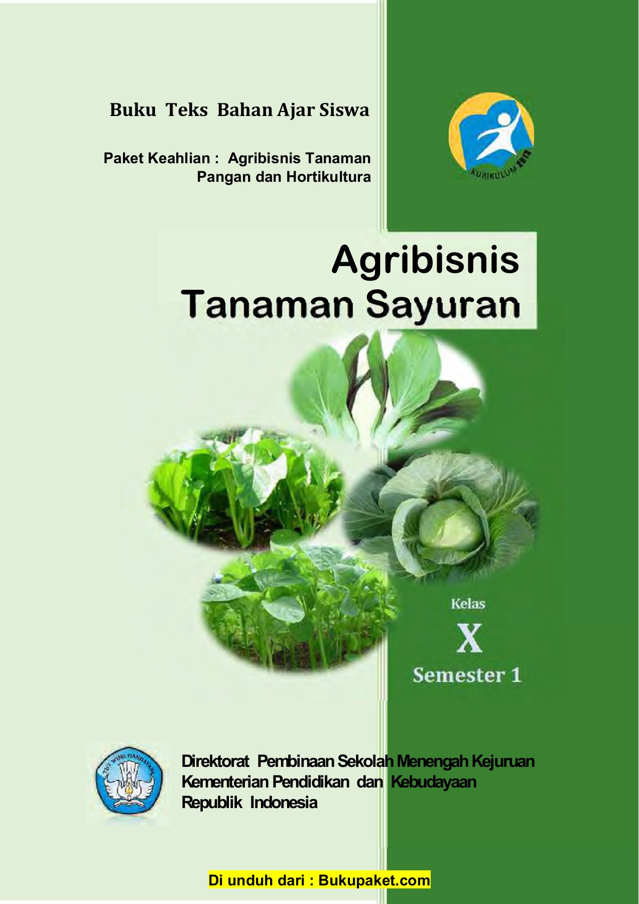 AGRIBISNIS TANAMAN SAYUR - SMKS HIDAYATUL ANAM - Halaman 1 | PDF Online ...