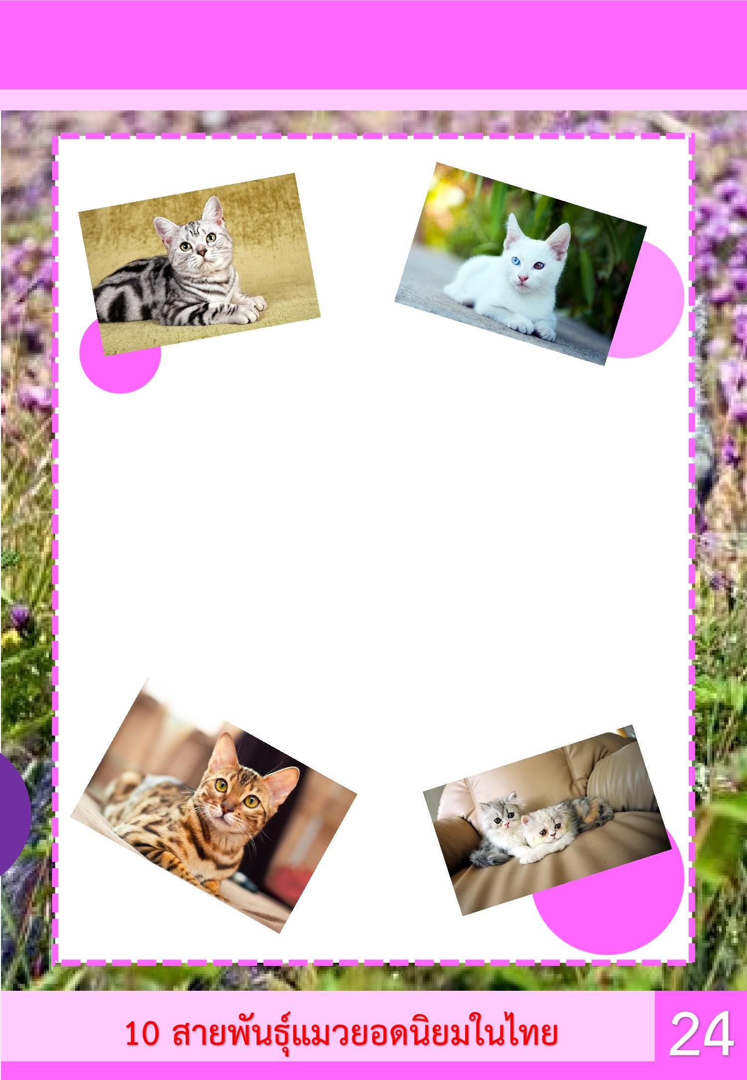 PowerPoint Presentation - psa - Page 29 | Flip PDF Online | PubHTML5