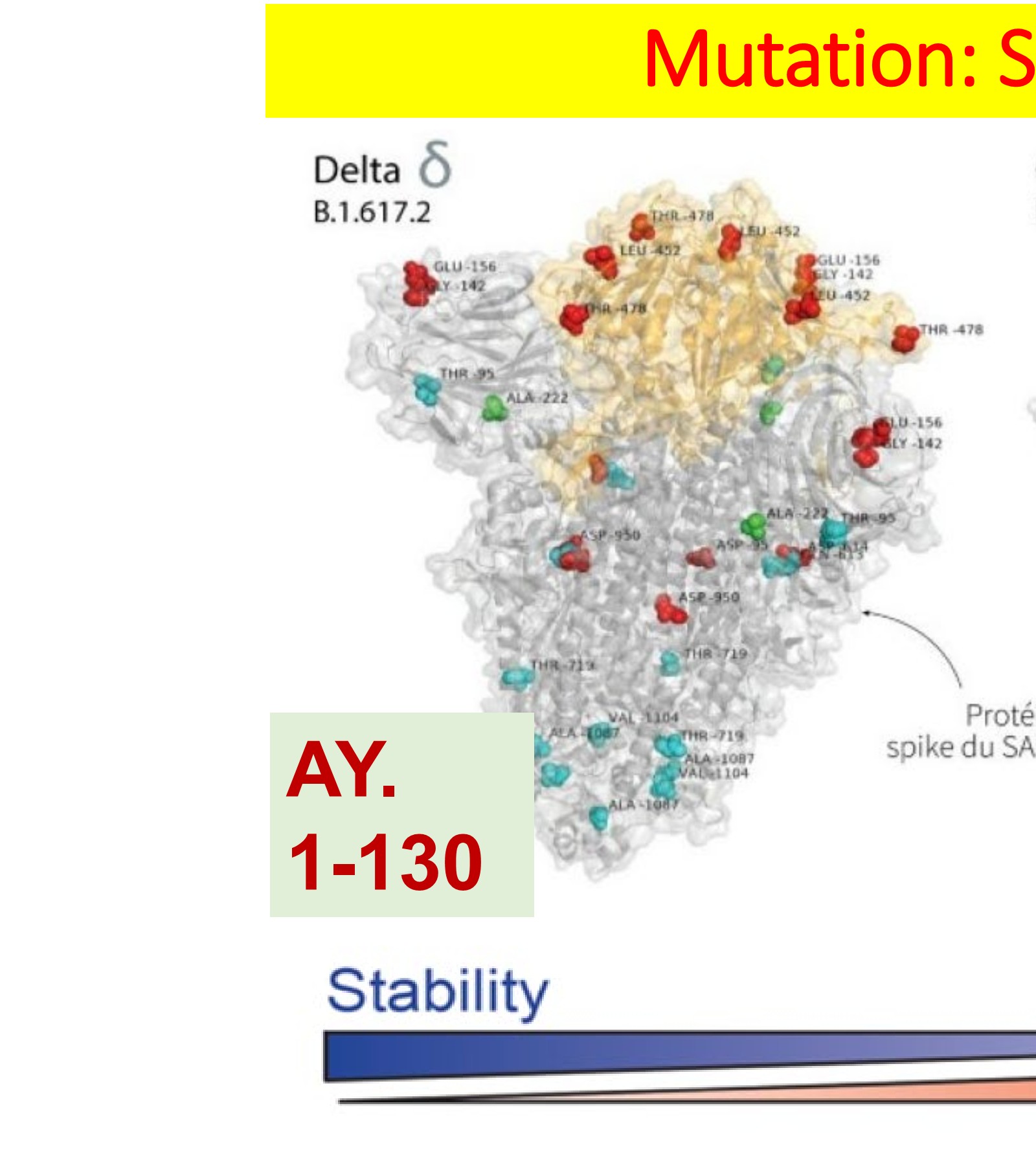 ses1_16 พ.ค._Update การดูแลรักษาผู้ป่วยโควิด-19 โรคติดเชื้อและโรคอุบัติ ...