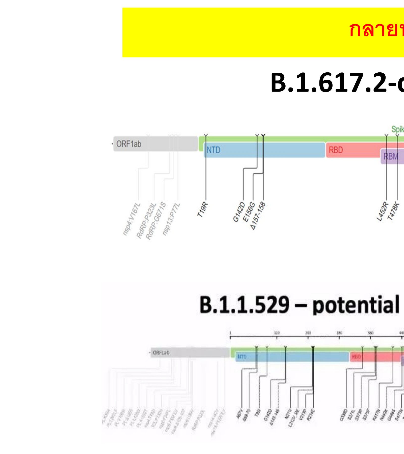 ses1_16 พ.ค._Update การดูแลรักษาผู้ป่วยโควิด-19 โรคติดเชื้อและโรคอุบัติ ...