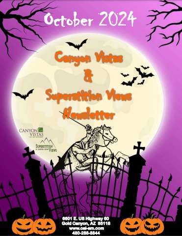 CV October Newsletter 2024