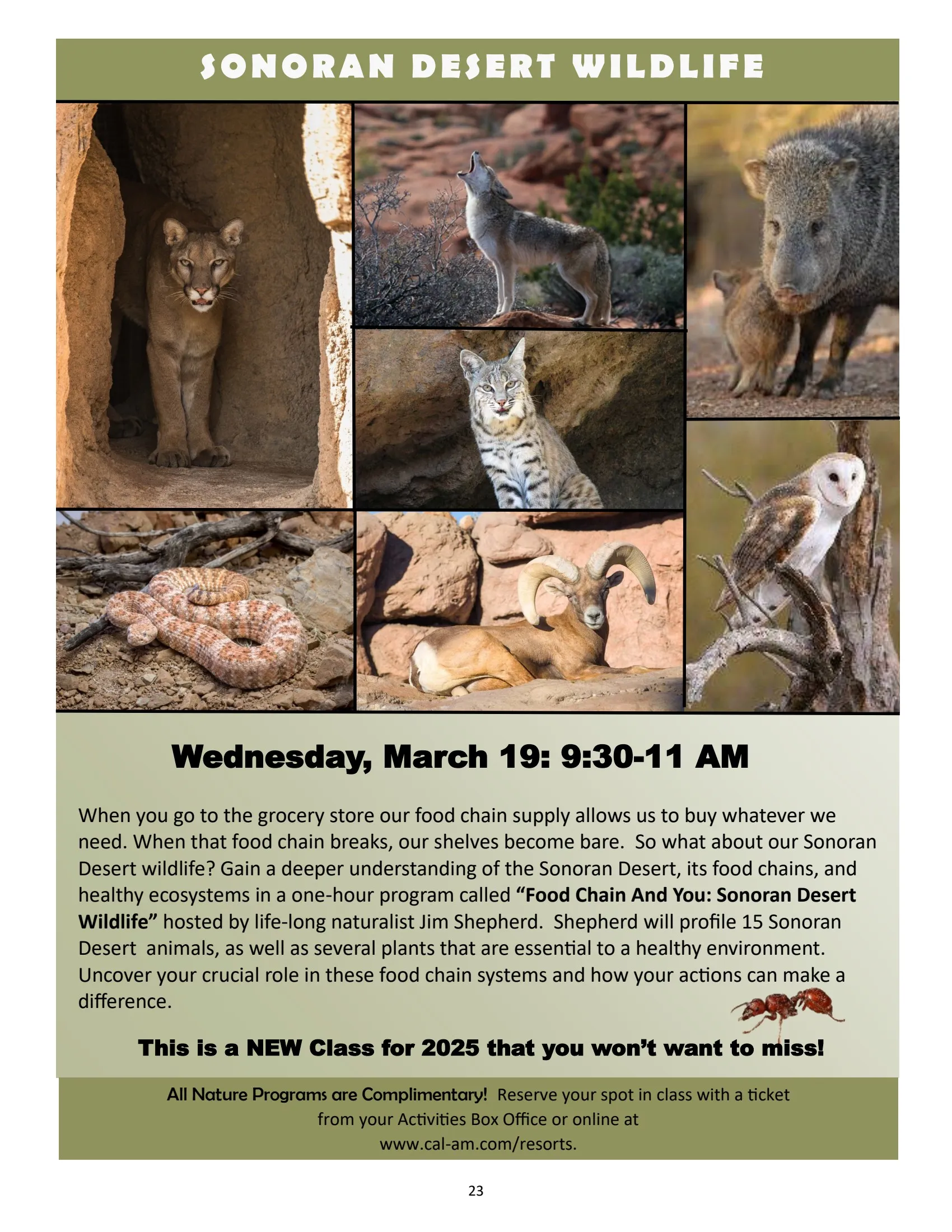 Cal-Am Lifestyle University Catalog 2025 - felixp - Page 23 | Flip PDF ...