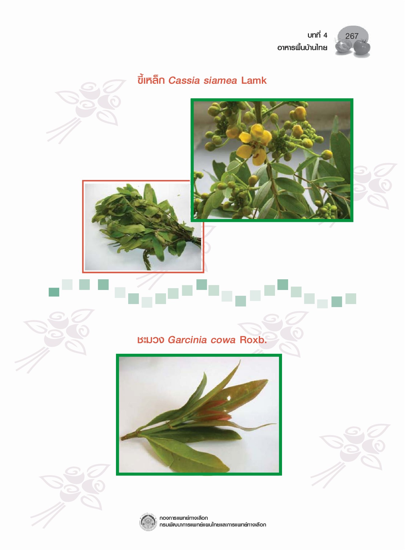 ตำราวิชาการอาหารเพื่อสุขภาพ - e-books library @ห้องสมุดประชาชนอำเภอ ...