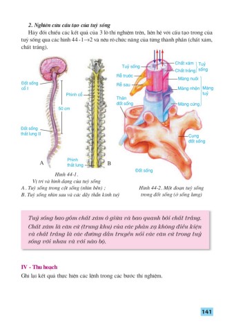 SGK Sinh học 8 - TỦ SÁCH ONLINE - Trang 141 | PDF lật trang trực tuyến | PubHTML5