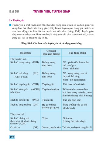 SGK Sinh học 8 - TỦ SÁCH ONLINE - Trang 176 | PDF lật trang trực tuyến | PubHTML5